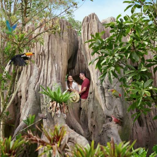 Animals and Zones | Bird Paradise