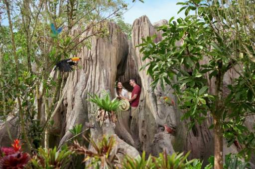 Animals and Zones | Bird Paradise