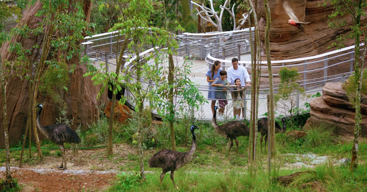 Shaw Foundation Australian Outback - Bird Paradise