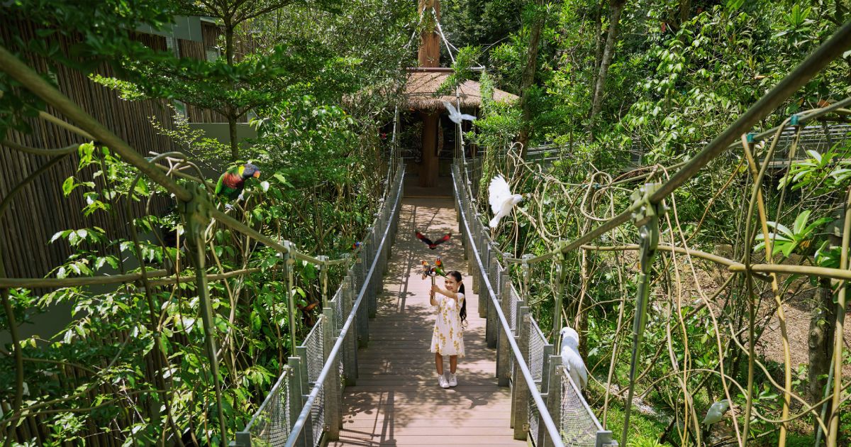 Lory Loft - Bird Paradise | Mandai Wildlife Reserve