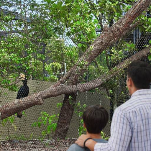 Animals and Zones | Bird Paradise