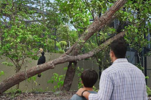 Animals and Zones | Bird Paradise