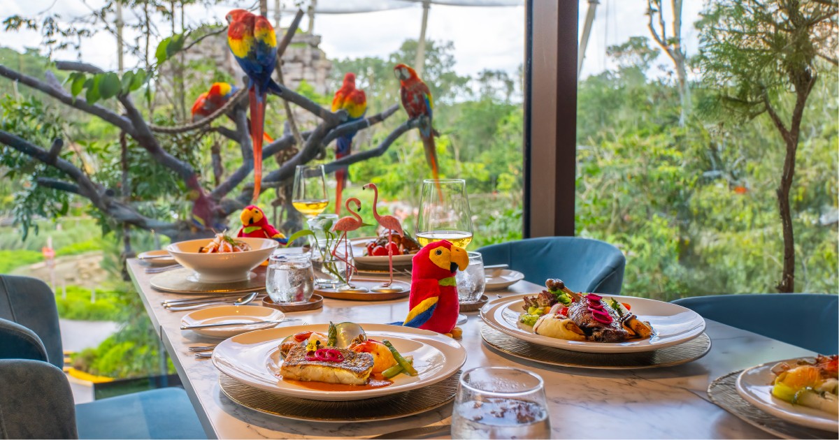Lunch in the Wild - Bird Paradise | Mandai Wildlife Reserve