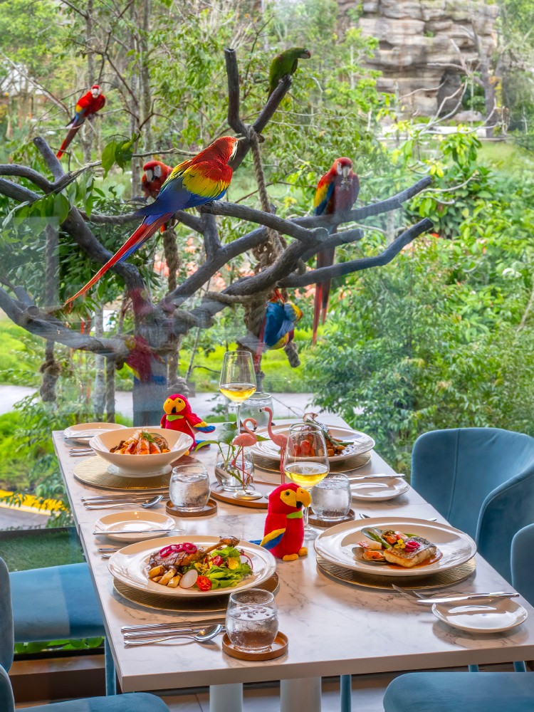 Lunch in the Wild - Bird Paradise | Mandai Wildlife Reserve