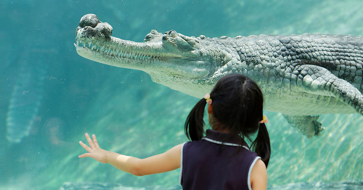 Care for Planet | Mandai Wildlife Reserve