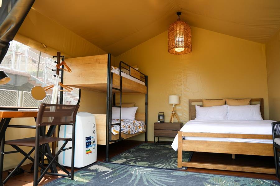 Colugo Camp — 3 Parks, 2 Tours, 1 Stay | Mandai Wildlife Reserve