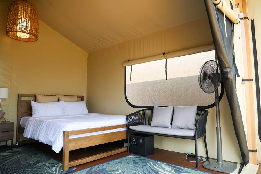 Colugo Camp — 3 Parks, 2 Tours, 1 Stay | Mandai Wildlife Reserve