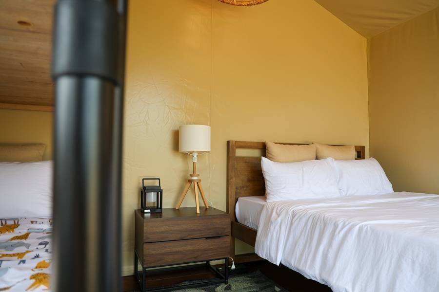 Colugo Camp — 3 Parks, 2 Tours, 1 Stay | Mandai Wildlife Reserve