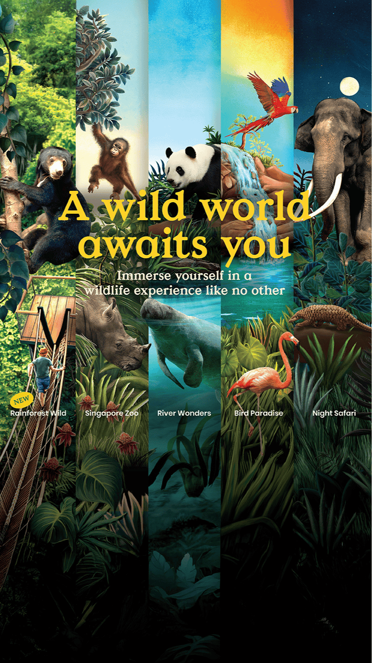 Mandai Wildlife Reserve | Singapore's Best Wildlife Experience