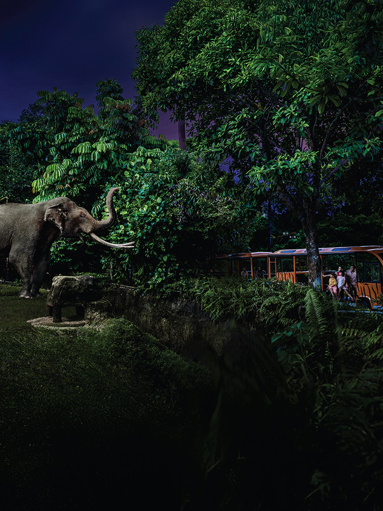 Park Itineraries | Mandai Wildlife Reserve