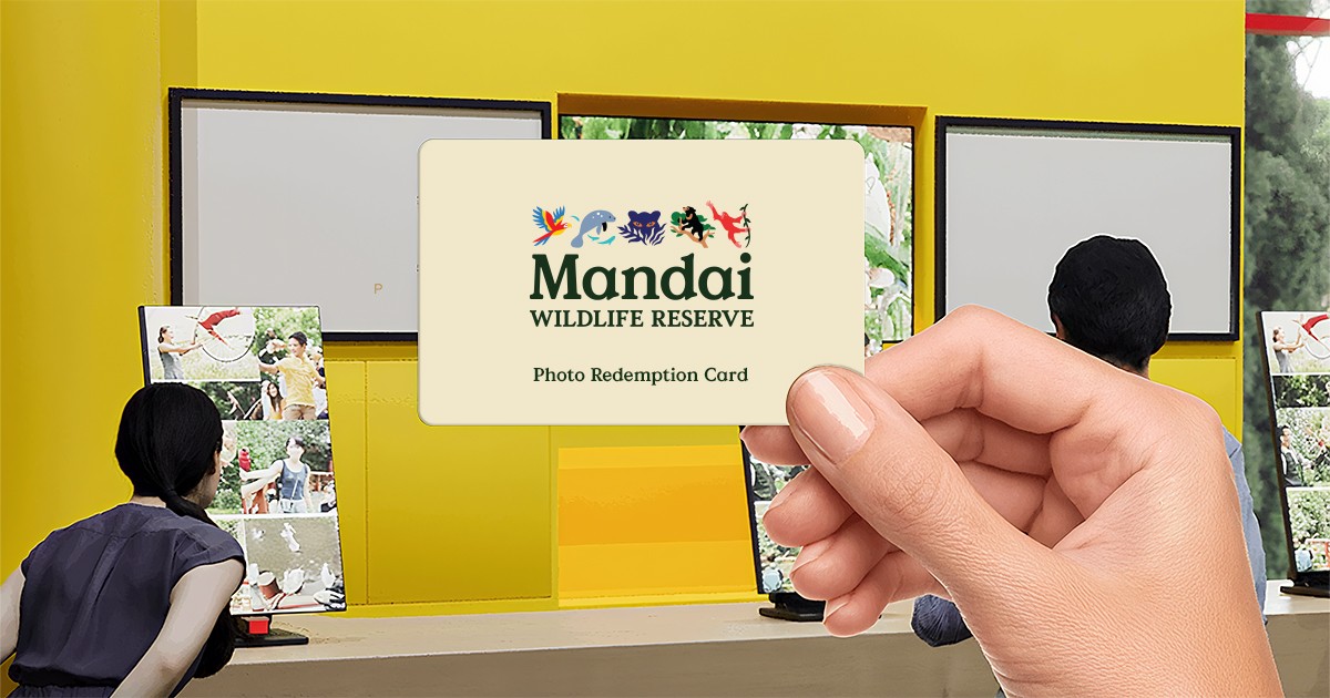Photo Pass and Redemption | Mandai Wildlife Reserve