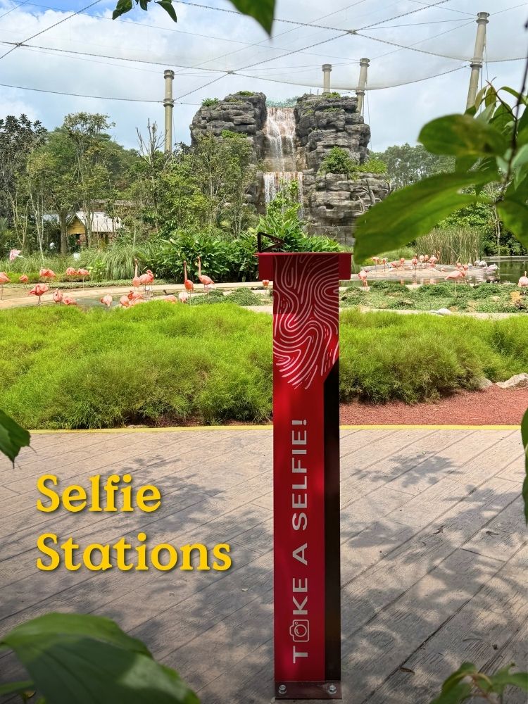 Selfie Stations - Mandai Wildlife Reserve