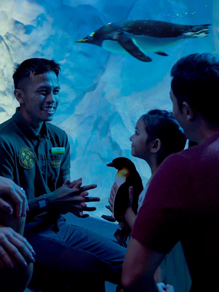 Singapore Tourist Sites | Discover the Mandai Wildlife Reserve