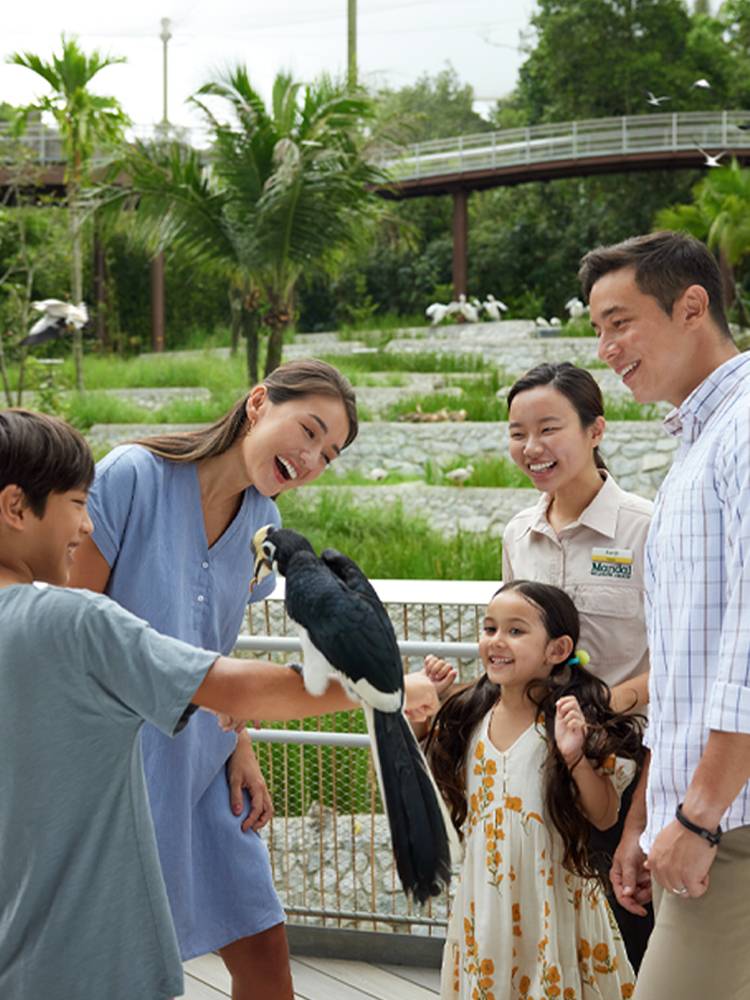 Bird Discovery Tour - Bird Paradise | Mandai Wildlife Reserve