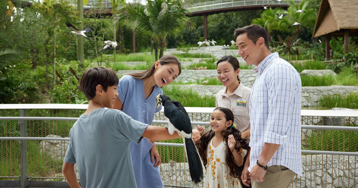 Bird Discovery Tour - Bird Paradise | Mandai Wildlife Reserve