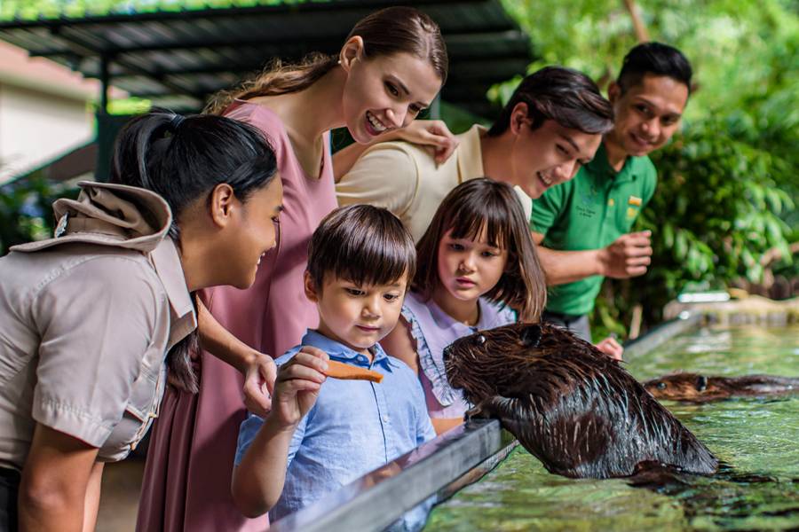 See and Do | Mandai Wildlife Reserve