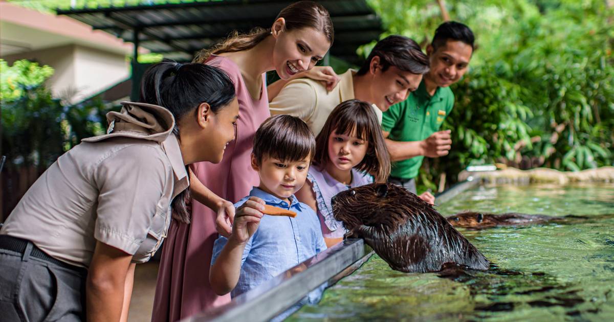 River Discovery Tour - River Wonders | Mandai Wildlife Reserve