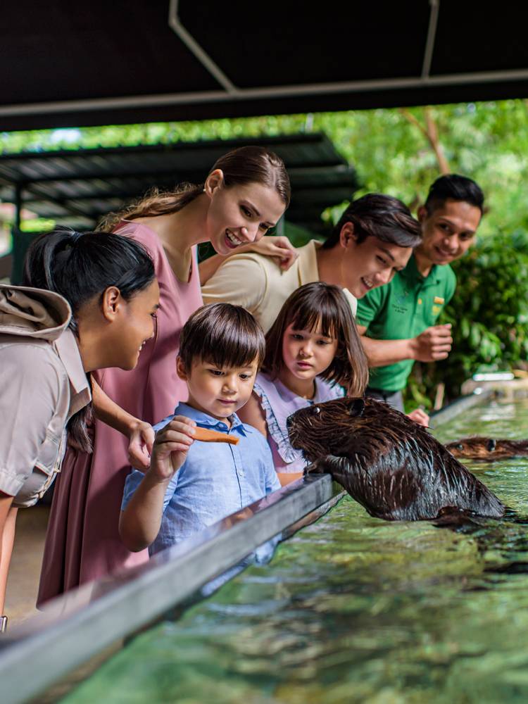 River Discovery Tour - River Wonders | Mandai Wildlife Reserve