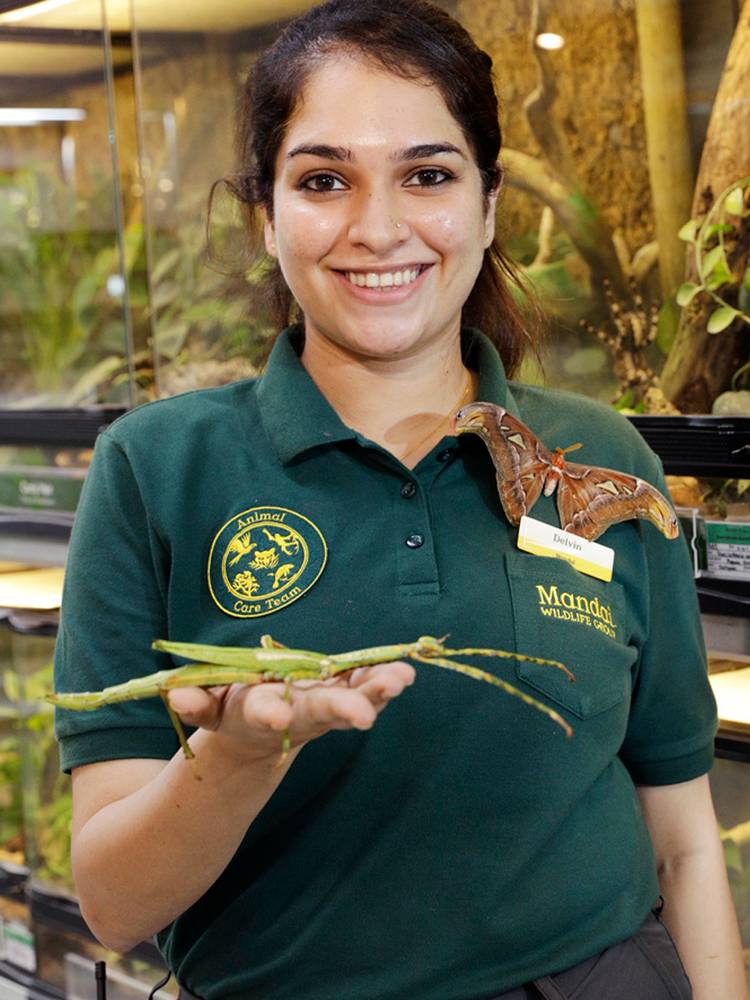 Backstage Pass: Incredible Invertebrates - Singapore Zoo | Mandai ...