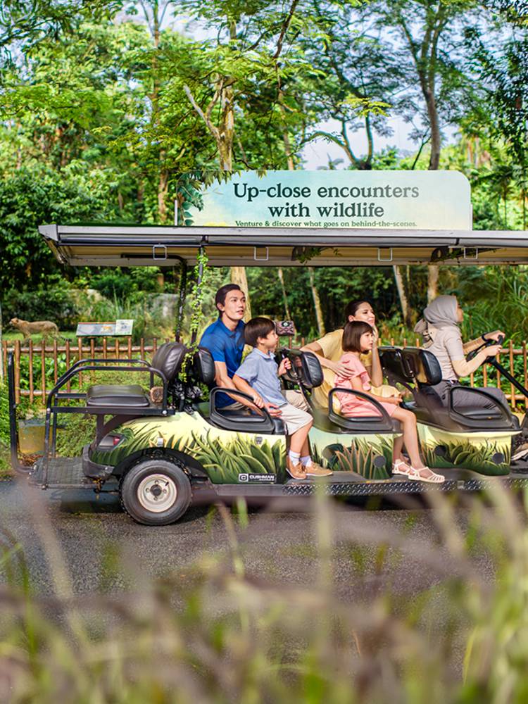 Zoo Adventure Tour - Singapore Zoo | Mandai Wildlife Reserve