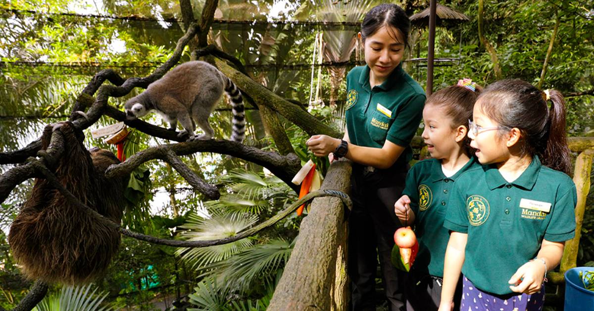 Zookeeper for a Day - Singapore Zoo