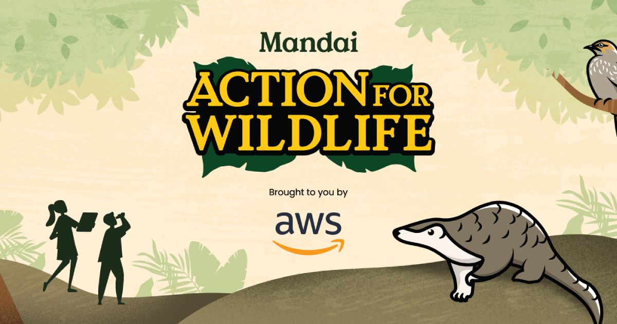 Mandai Action For Wildlife Junior Programme (K1 & K2) | Mandai Wildlife ...