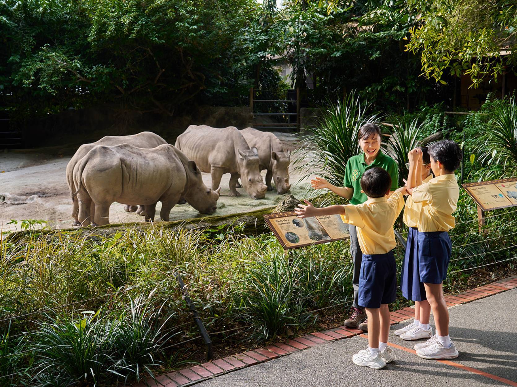 Primary School Programmes - Singapore Zoo | Mandai Wildlife Reserve