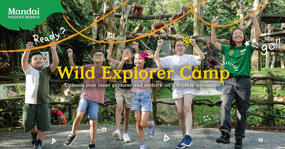 Wild Explorer Camp | Mandai Wildlife Reserve