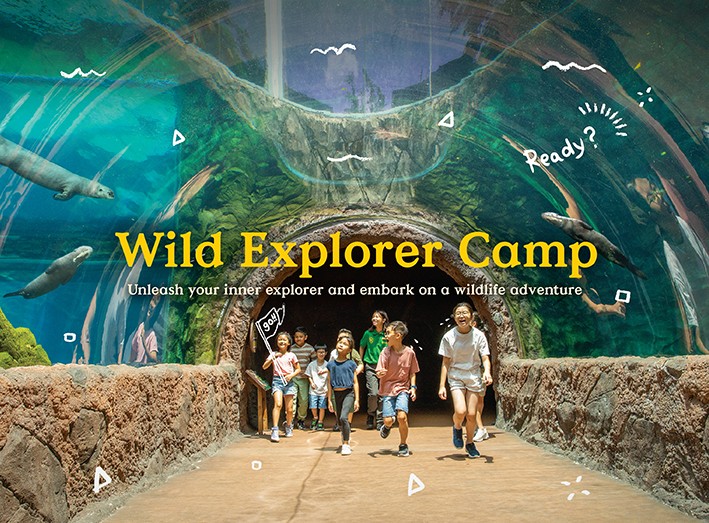 River Wonders | Mandai Wildlife Reserve