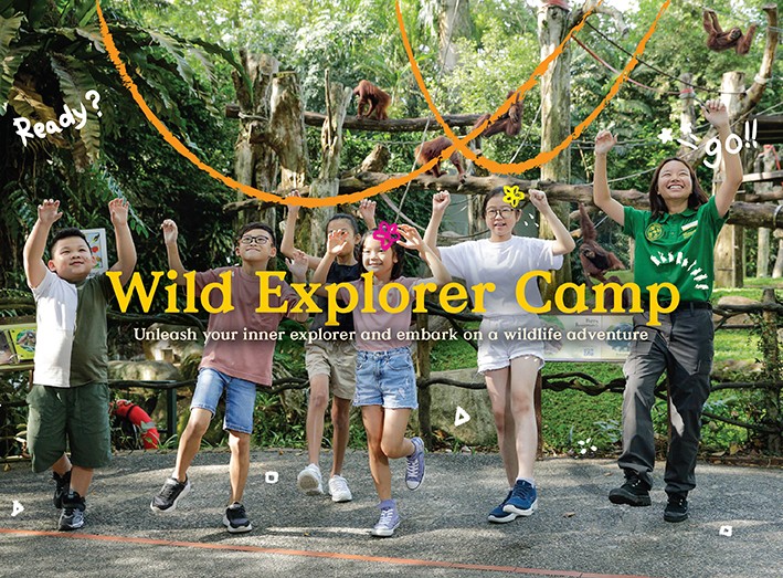 Singapore Zoo - World's Best Rainforest Zoo | Mandai Wildlife Reserve