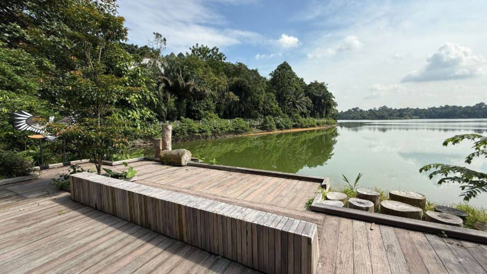 Mandai Boardwalk | Mandai Wildlfe Reserve