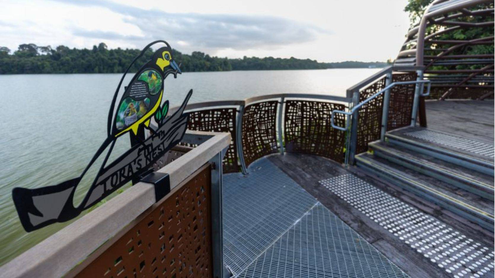 Mandai Boardwalk | Mandai Wildlfe Reserve