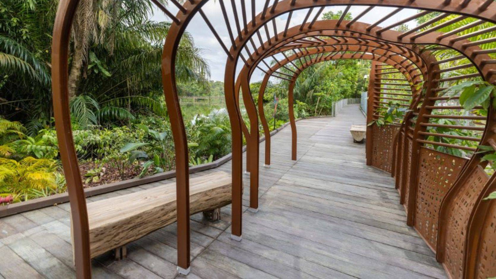 Mandai Boardwalk | Mandai Wildlfe Reserve