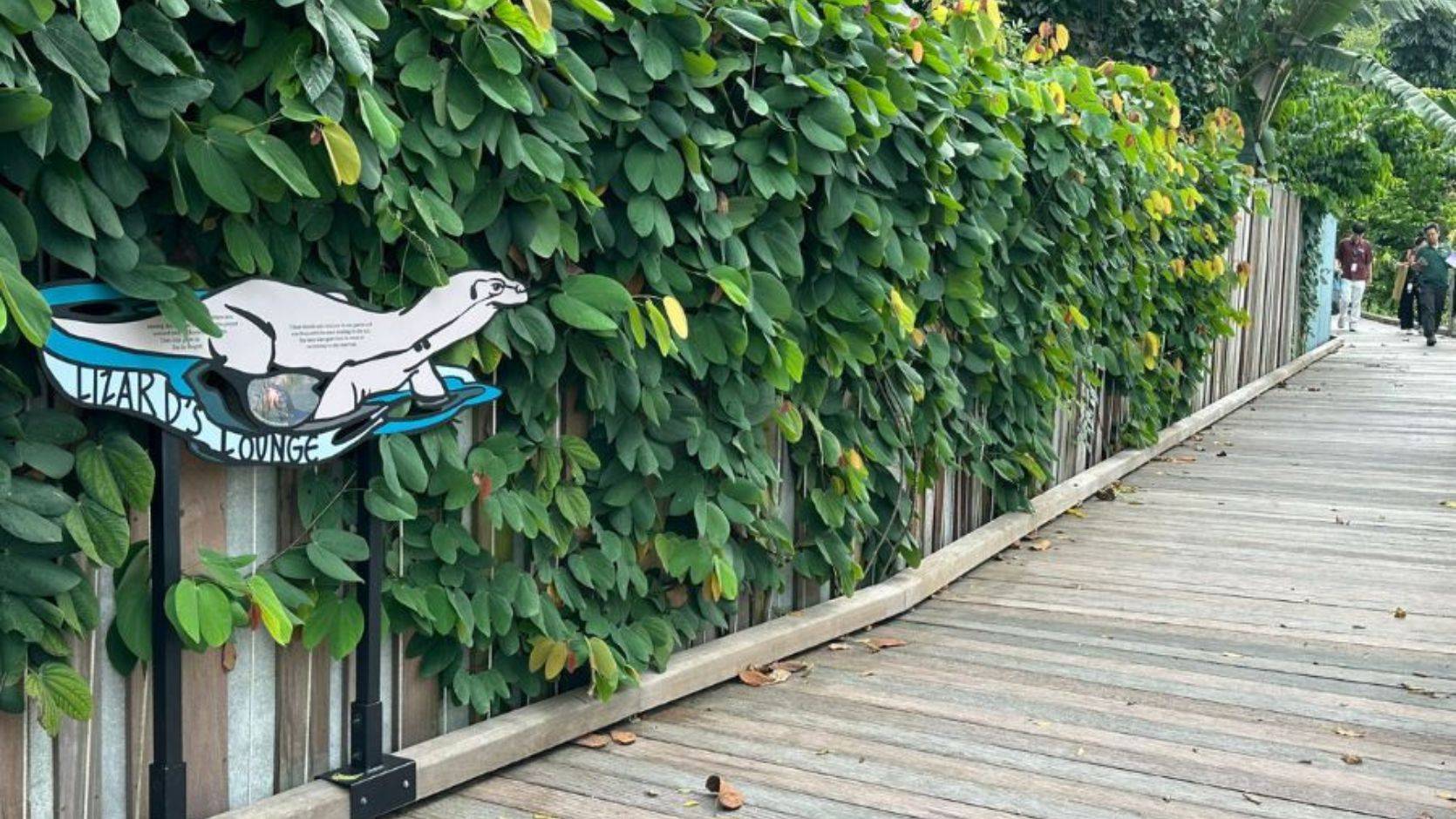 Mandai Boardwalk | Mandai Wildlfe Reserve