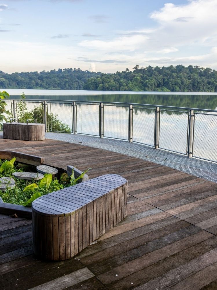 Mandai Boardwalk | Mandai Wildlfe Reserve