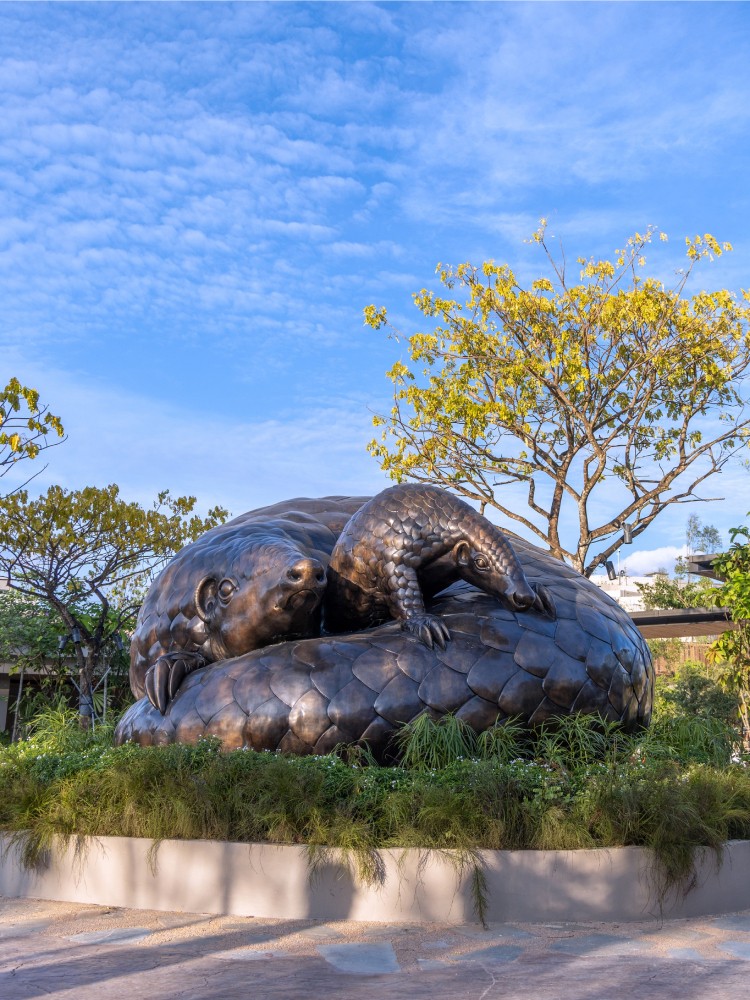 Mandai Wildlife EAST | Mandai Wildlife Reserve