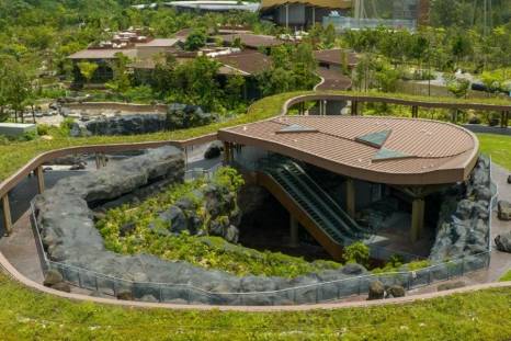 Mandai Wildlife WEST | Mandai Wildlife Reserve