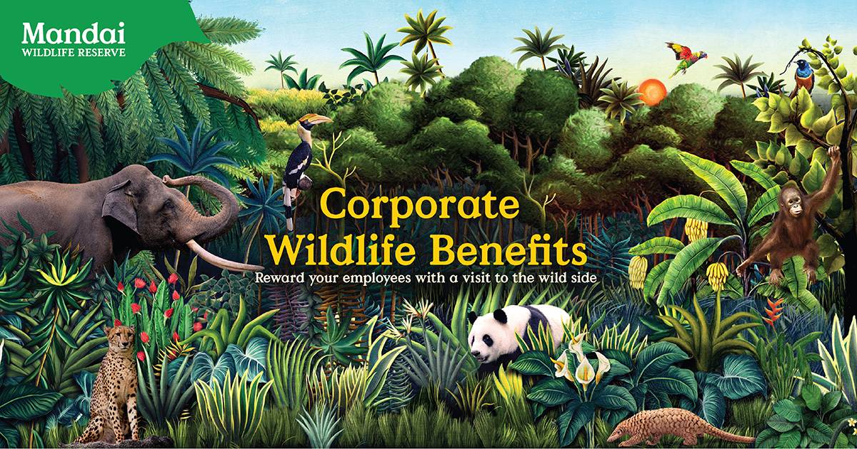 Corporate Wildlife Benefits | Mandai Wildlife Reserve