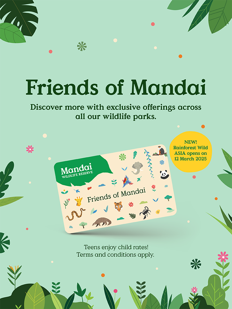 Friends of Mandai | Mandai Wildlife Reserve