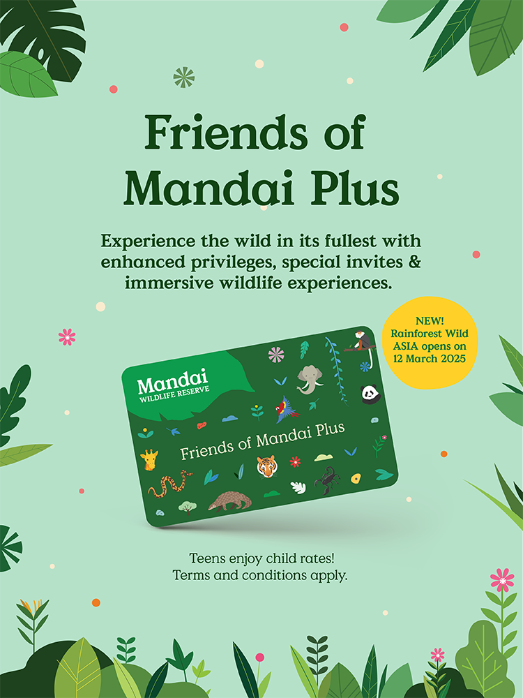 Friends of Mandai Plus Membership | Mandai Wildlife Reserve