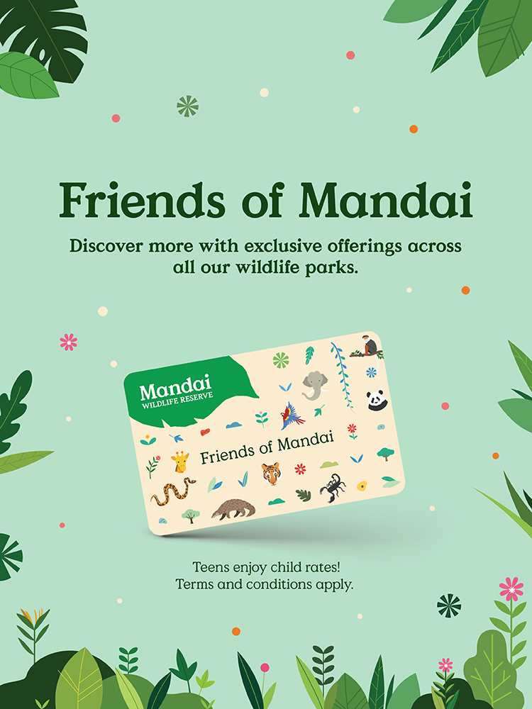Friends of Mandai | Mandai Wildlife Reserve
