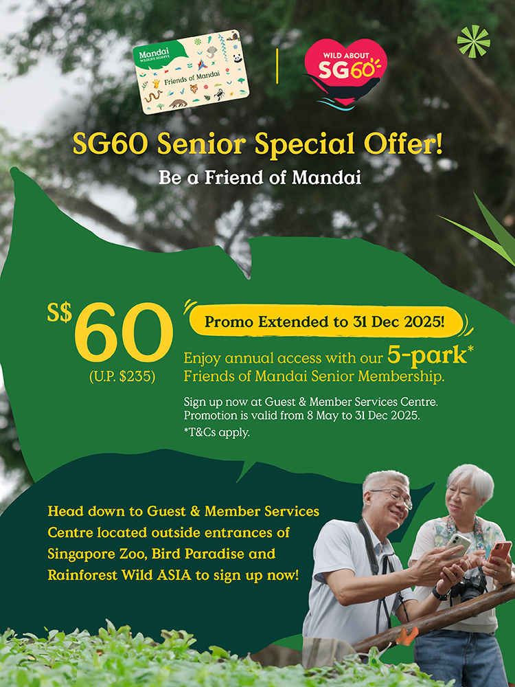Memberships | Mandai Wildlife Reserve