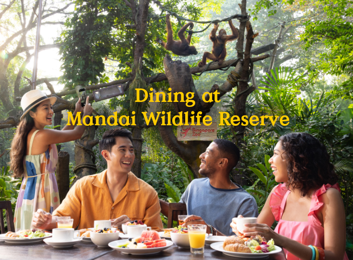 Mandai Wildlife Reserve | Singapore's Best Wildlife Experience