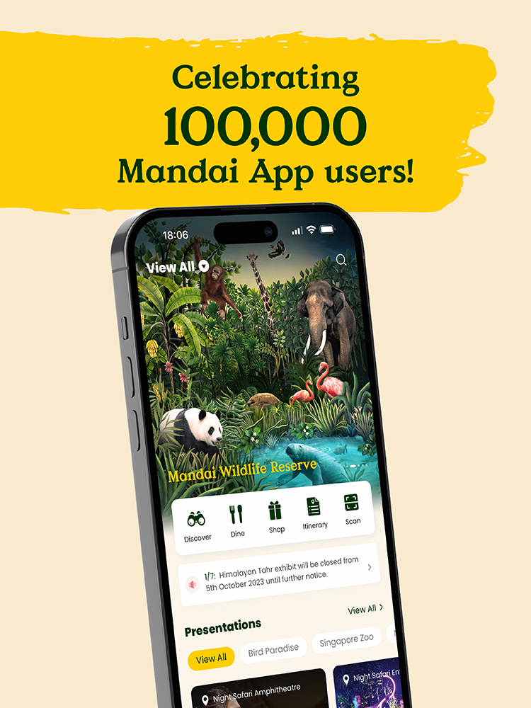 Mandai App | Mandai Wildlife Reserve