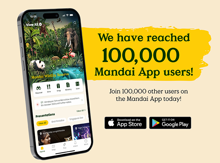 Night Safari | Mandai Wildlife Reserve