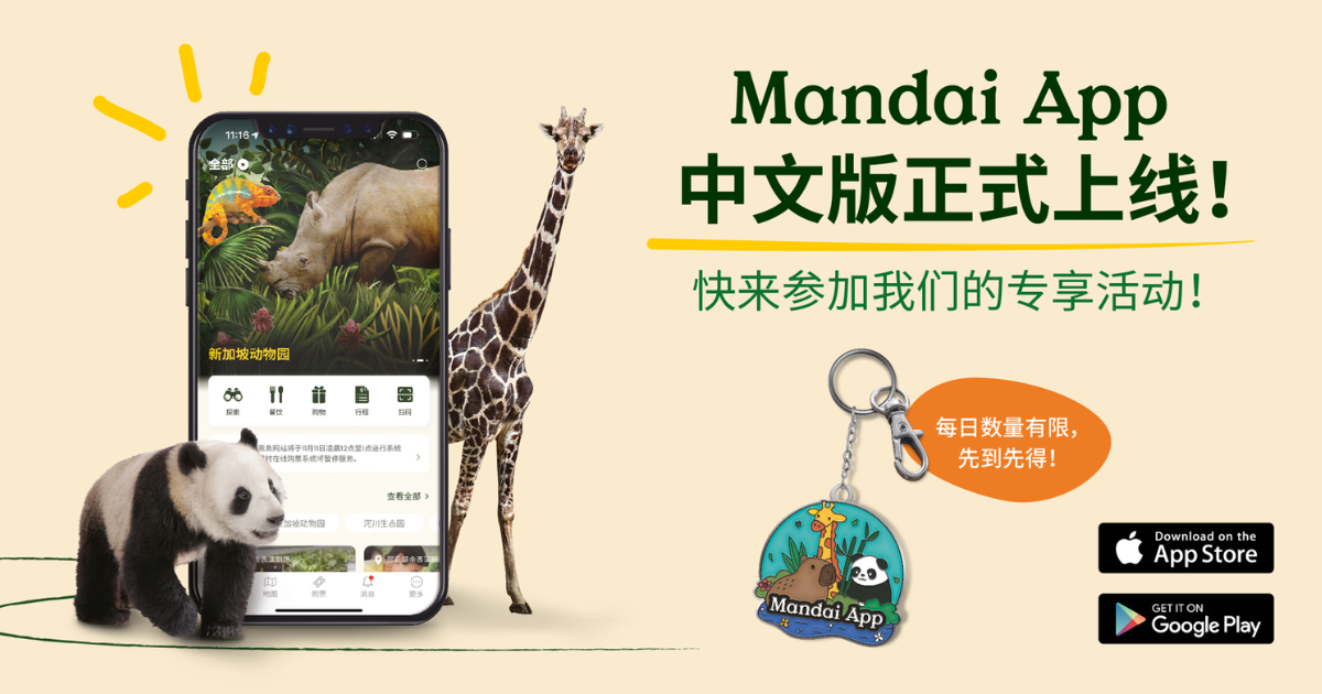 Mandai App | 万态野生动物世界