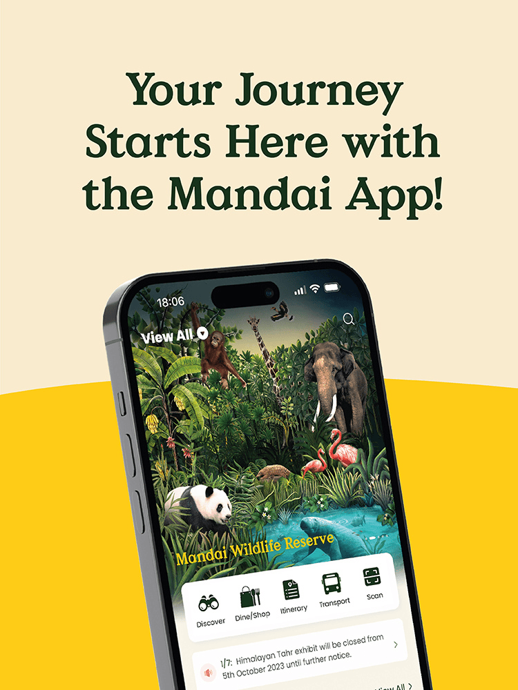 Mandai App | Mandai Wildlife Reserve