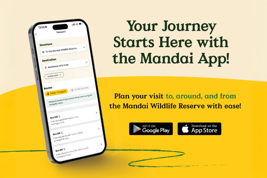 Rainforest Wild ASIA | Mandai Wildlife Reserve