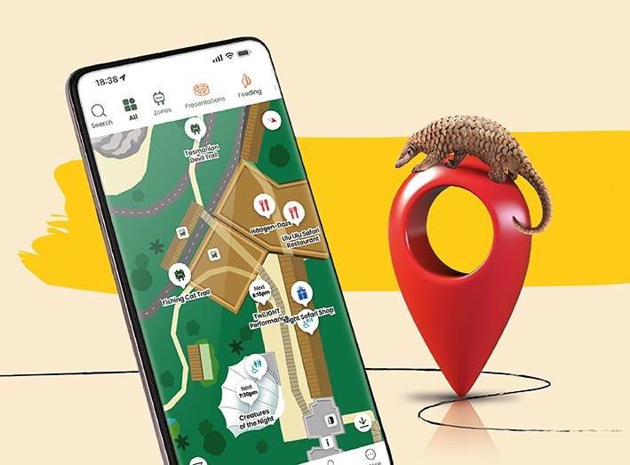 Night Safari Map | Mandai Wildlife Reserve