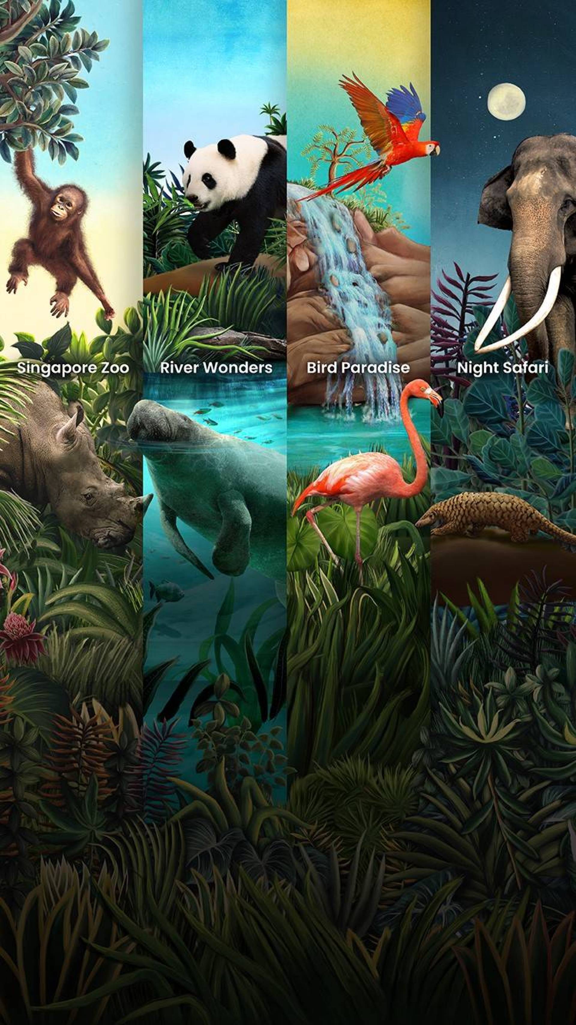 River Wonders | Mandai Wildlife Reserve